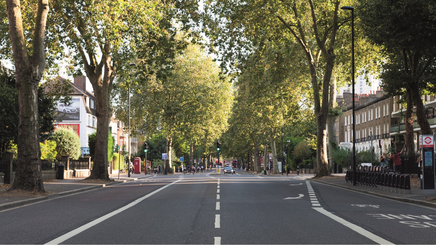 Hounslow Highways | Street trees